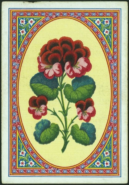 The Universal Compendium