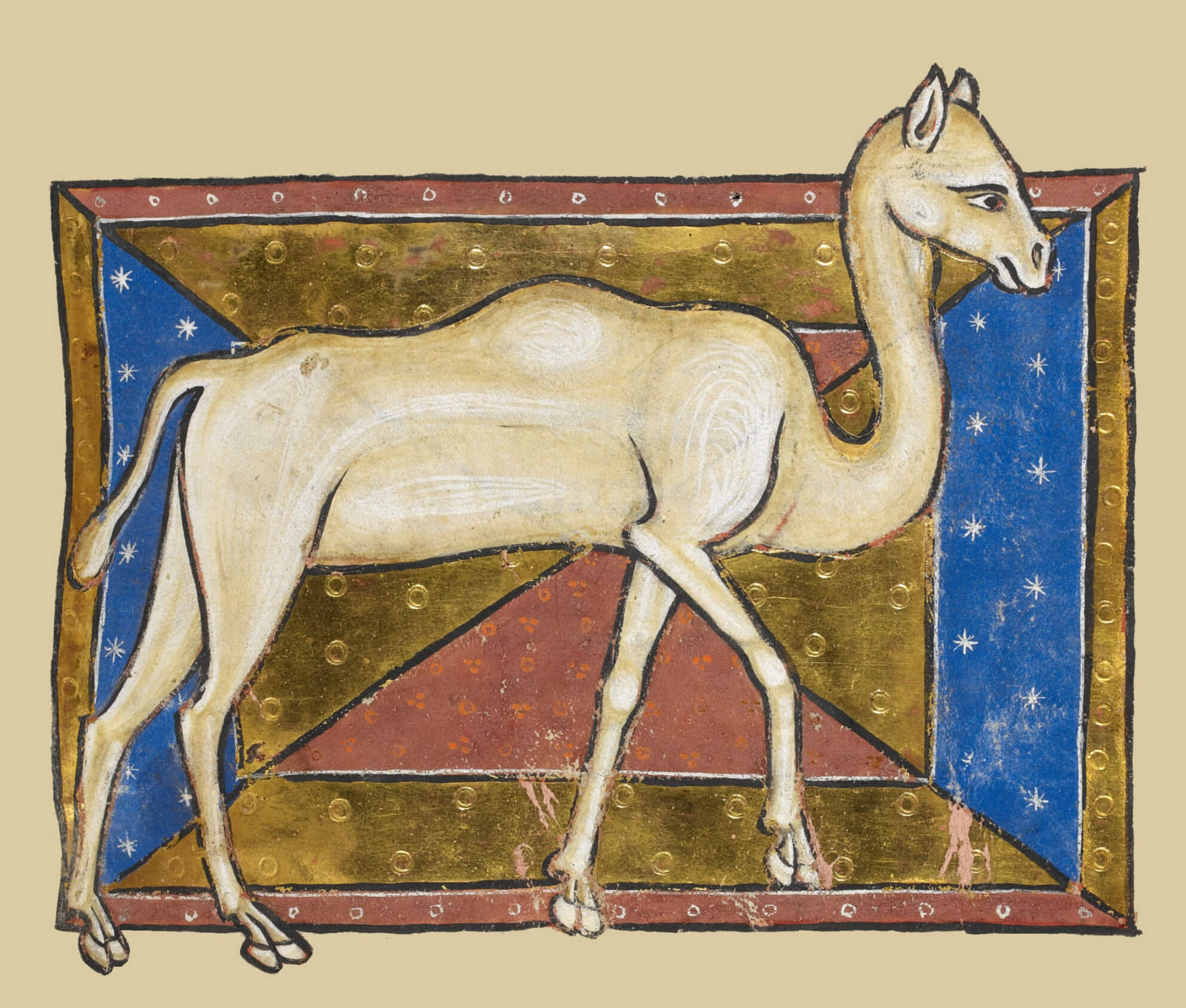 The Universal Compendium